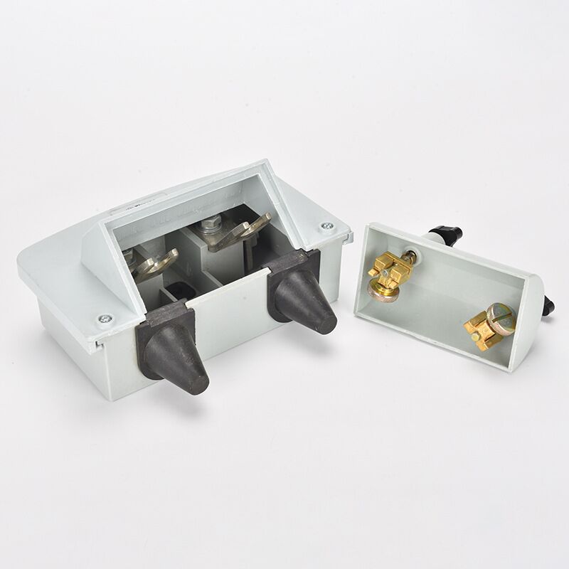 400A Low Voltage Pole Mount Fuse Cutout - surge arrester, Lightning ...